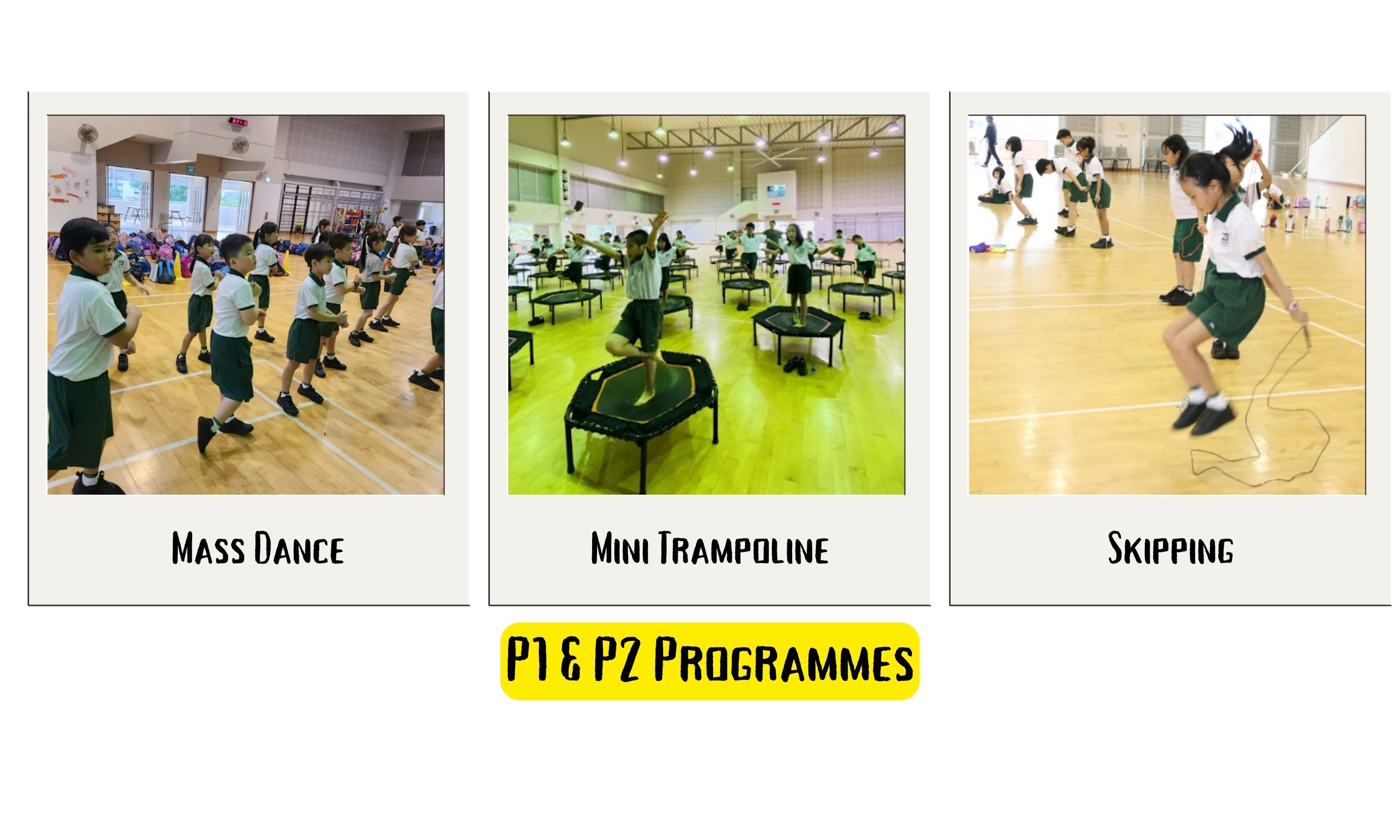 Physical Education (PE)